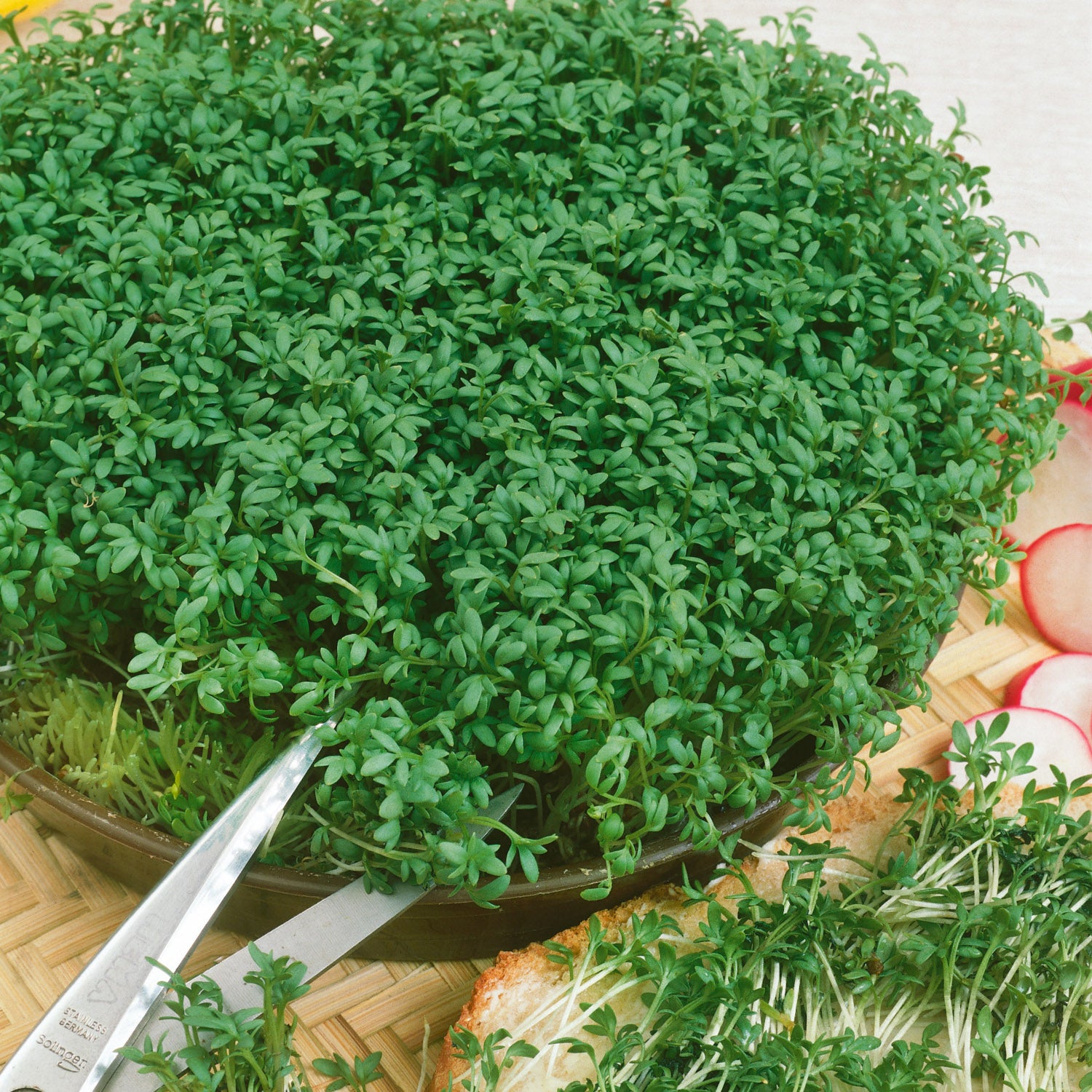 Cress Seeds 'Extra Curled Organic' | Marshalls Garden