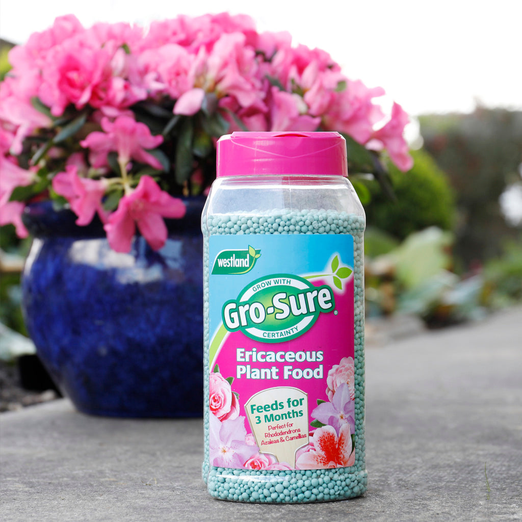 Gro-Sure Ericaceous Plant Food | Marshalls Garden