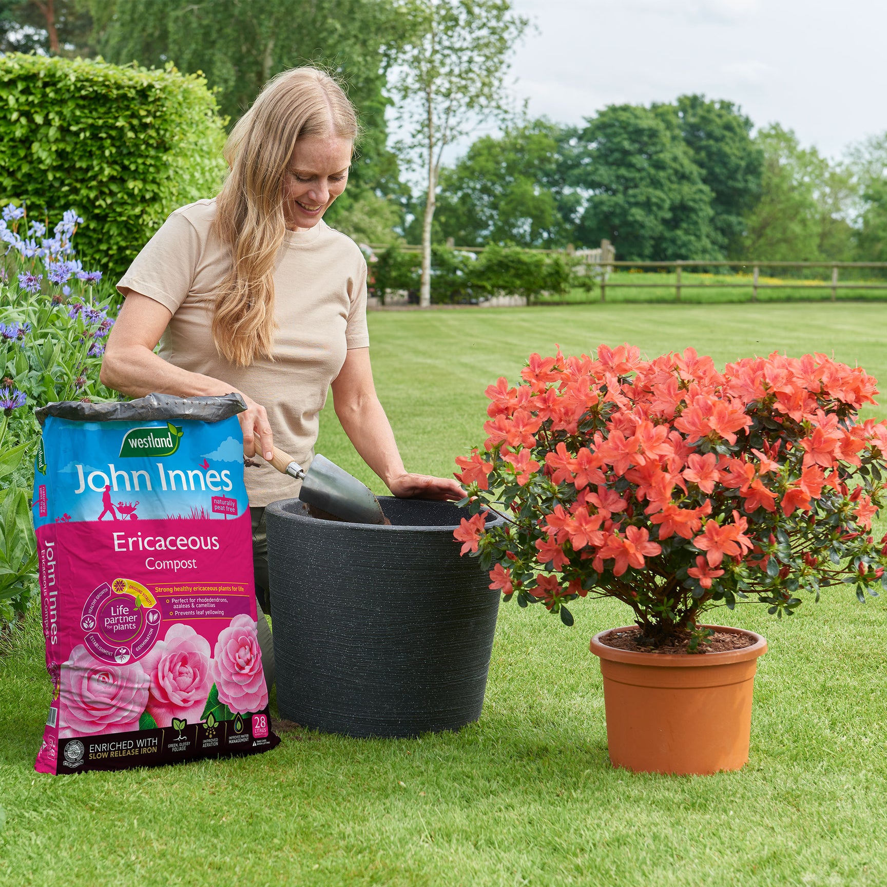 John Innes Peat Free Ericaceous Compost 28L | Buy Compost Online ...