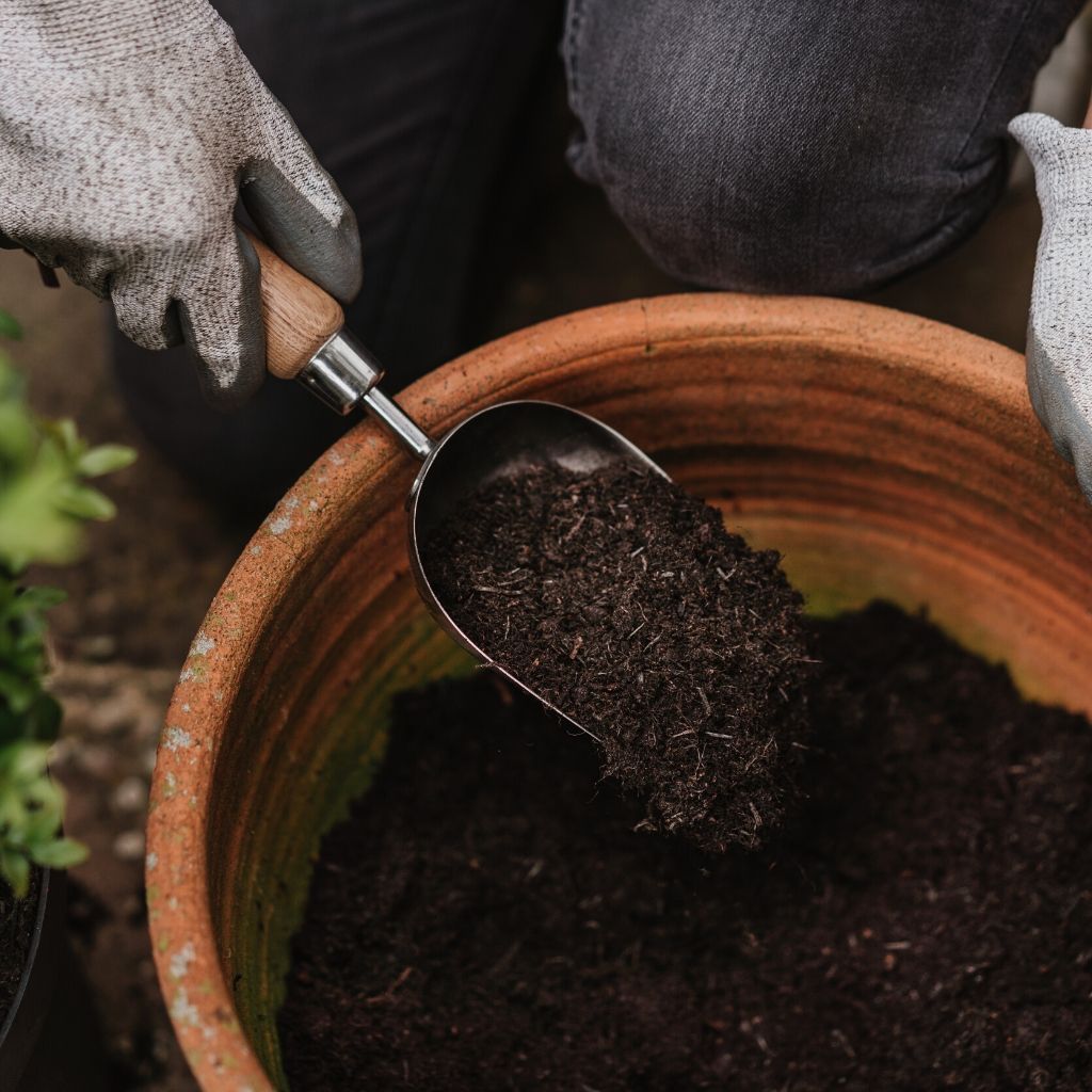 Kent & Stowe Stainless Steel Potting Scoop | Buy Gardening Potting ...