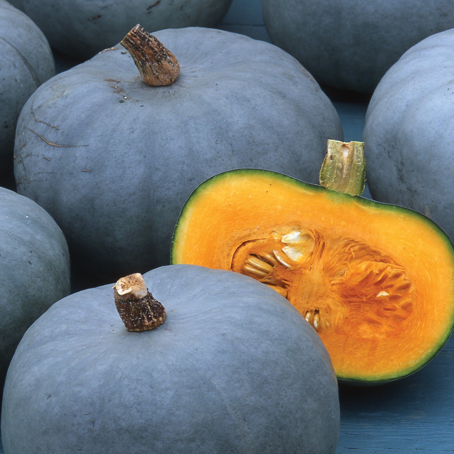 Pumpkin Seeds 'Crown Prince' | Buy Pumpkin Seeds Online | Pumpkin Seeds ...