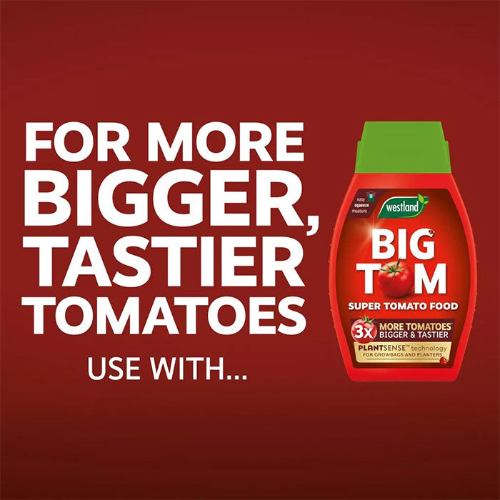 Big Tom Tomato Planter 55L | Buy Tomato Planters Online | Tomato ...