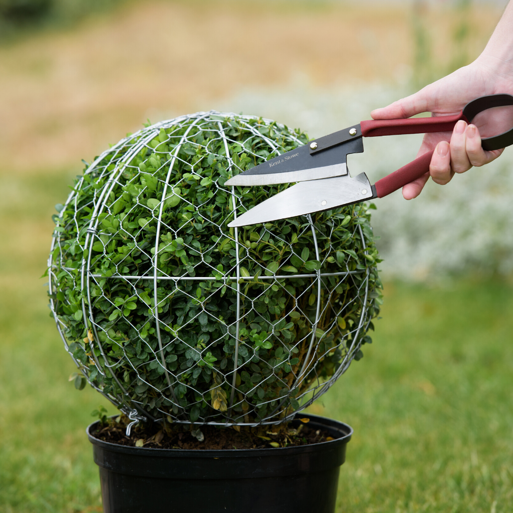 Kent & Stowe Large Topiary Shears & Holster | Marshalls Garden