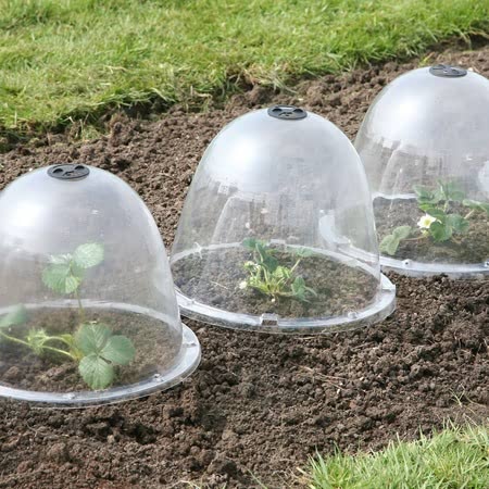 Original Victorian Bell Cloche | Buy Bell Cloche Online | Bell Cloche ...