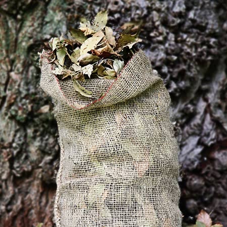 Compostable Leaf Sacks | Marshalls Garden