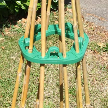 Universal Cane Support | Marshalls Garden