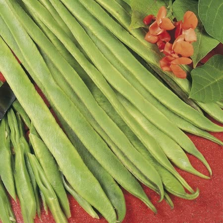 Runner Bean Seeds 'Polestar' | Buy Runner Bean Seeds Online | Runner ...