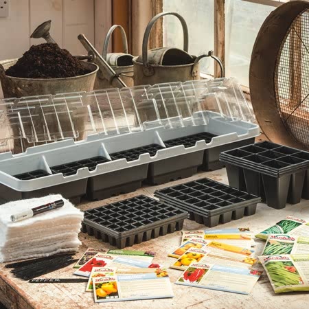 Buy Large Kitchen Garden Seed Collection Online | Marshalls – Marshalls ...