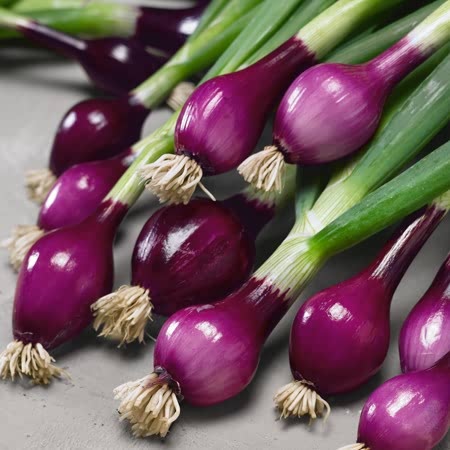 Spring Red Onion Seeds 'Lilia' | Marshalls Garden
