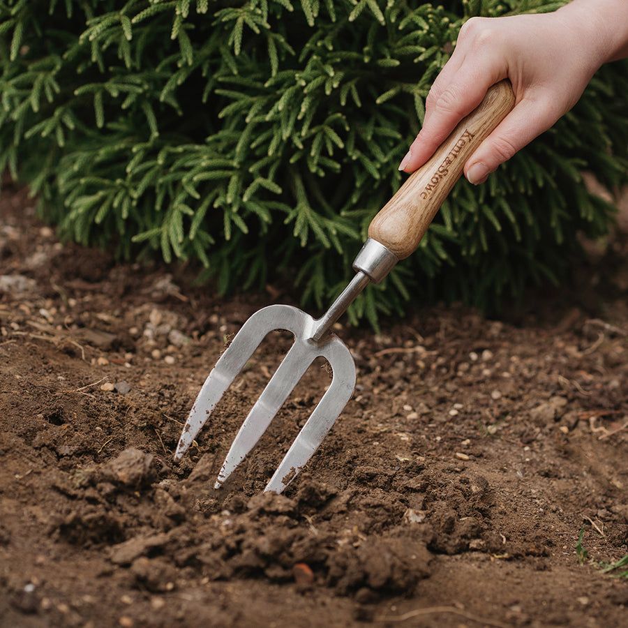 Kent & Stowe Stainless Steel Hand Fork | Buy Gardening Hand Fork Online ...