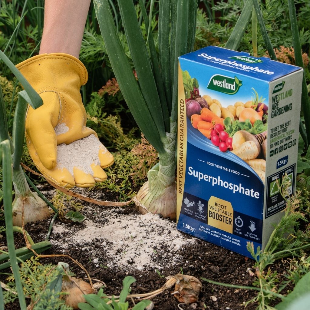 Buy Superphosphate online | Marshalls – Marshalls Garden